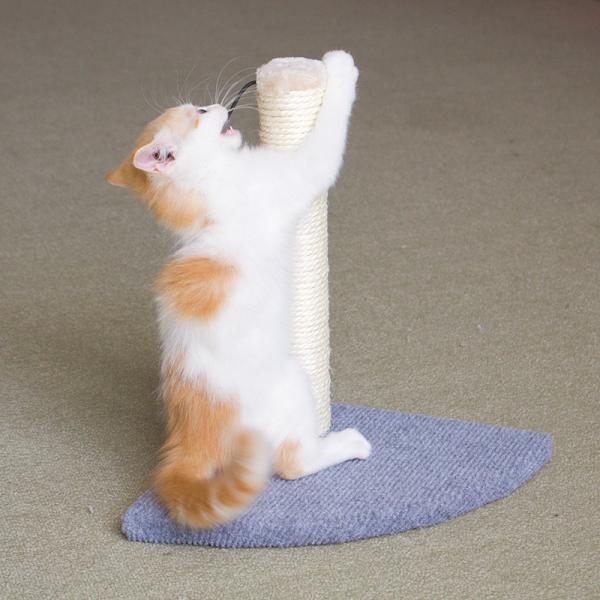 Quality OEM Eco Friendly 13.39" Fabric Cat Scratching Post for sale