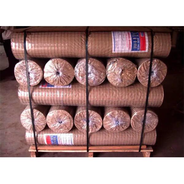 Quality Square Welded Wire Mesh Zinc Coated / PVC Coated Galvanized Wire Mesh for sale