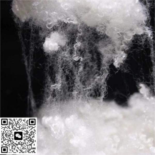 Quality White Virgin Polyester Fiber - High Strength, UV Resistant, Low Moisture for sale