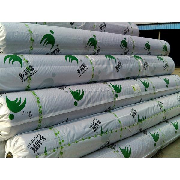 Quality Customized Synthetic Grass Turf for Landscape and Other Landscaping Applications for sale