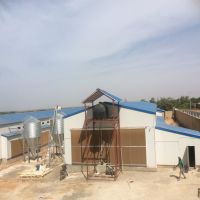 Quality Steel Industrial-Style Prefab Light Structure Broiler Chicken Coop House Poultry for sale