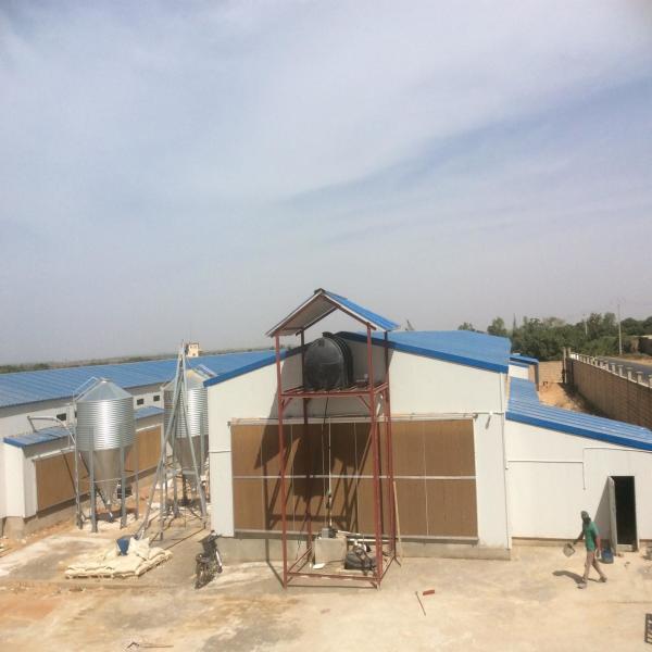 Quality Steel Industrial-Style Prefab Light Structure Broiler Chicken Coop House Poultry Warehouse for sale