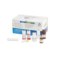 Quality 96T/ Elastase Assay Kit BRED-006 for sale