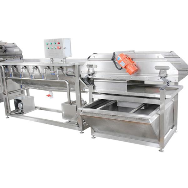 Quality Scallion 1900kg/H Vegetable Washing And Drying Machine for sale
