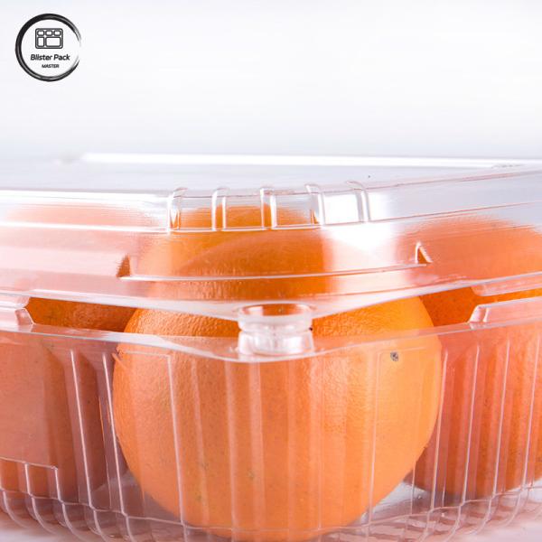 Quality Disposable Hinged Transparent PET Clamshell Fruit Containers for Orange for sale
