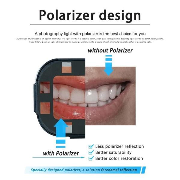 Quality 6000-6500K Orthodontic Dental Instruments Photography Flash Light Dimmable for sale