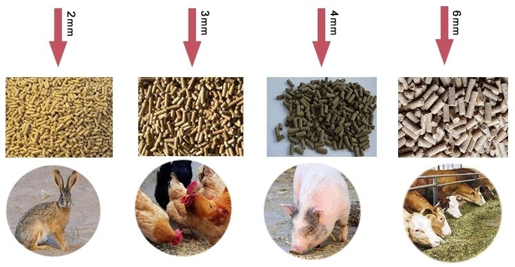 feed pellet machine Animal Feed Chicken Pig Poultry Feed Processing Machines Mill Pelletizer Roller Machines