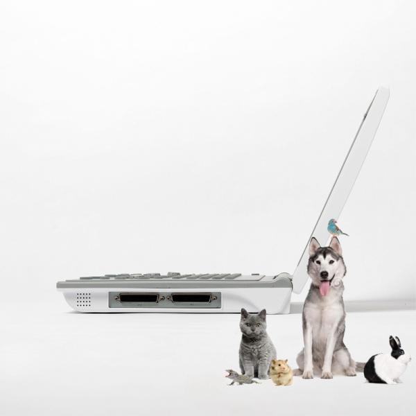 Quality Hospital Outside Diagnostic Linear Ultrasound Machine Dog Ultrasound Machine for sale