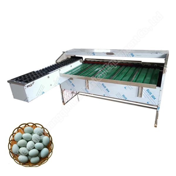Quality Commercial Small Scale Egg Processing Machine Grader Weight Sorting Line for sale