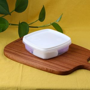Quality Frozen 250ml Square Household Small Capacity Food Crisper Container Box for sale