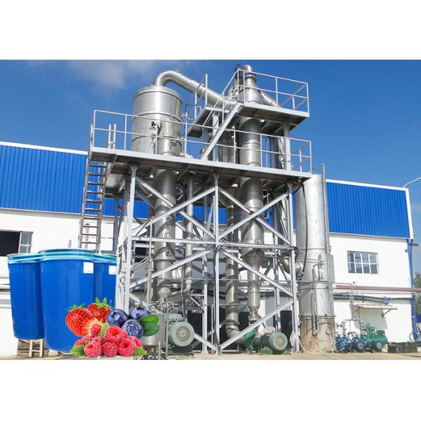 Quality Professional Berry Processing Equipment / Fruit Jam Processing Machinery for sale
