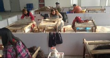 China Factory - Anhui Neobeauty Hair Products Co.,Ltd