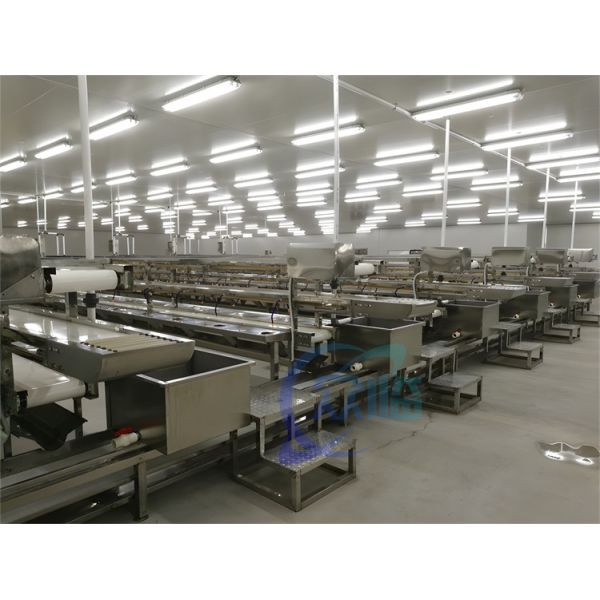 Quality 3KW Stable Shrimp Processing Machine 10000x1150x1550mm Practical for sale