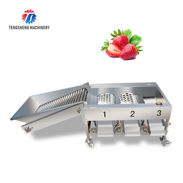 Quality Automatic Citrus Apple Grading Machine Potato Sorting Equipment Food Processor for sale