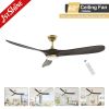 china 60 Inches Luxury 3 Wooden Blades Ceiling Light With Fan Quiet Dc Motor