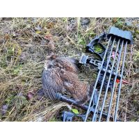 Quality .204"(5.18mm) Small Diameter Straightness.003-.001" Spine 250/300/350/400/500 for sale