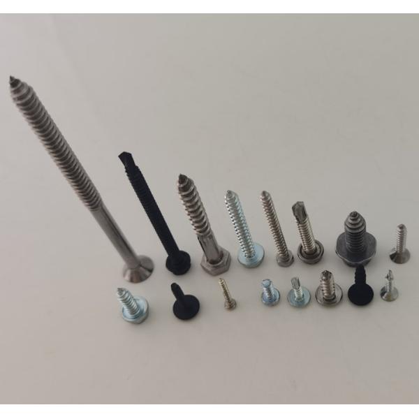 Quality Self Drilling Screws Self Tapping Screw Wood Screw for sale
