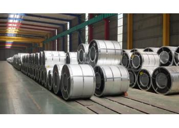 China Factory - Shandong Hongxin International Trade Co., LTD.