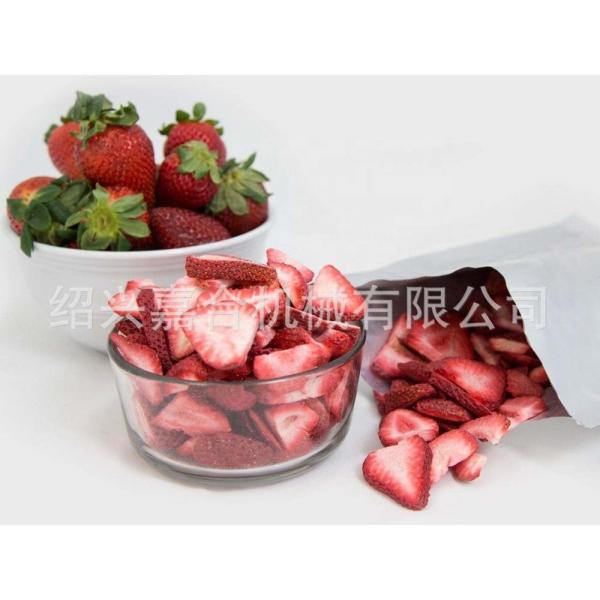 Quality 1000kg Freeze Drying Machine for sale