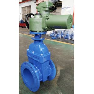 Quality Flange Electric Soft Seal Gate Valve Ductile Iron DN65 DN80 Port Size for sale
