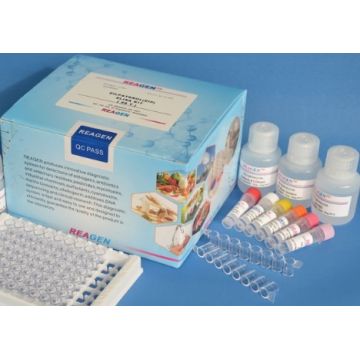 Quality Biopharmaceutical Kanamycin ELISA Kit Plasmid Detection 95% High Accuracy for sale