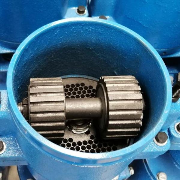 Quality Small Animal Feed Extruder 50in Pellet Making Machine 20mm Dia for sale