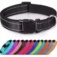 Quality Personalized Reflective Neoprene Nylon Dog Collar with Adjustable Fit and Fur for sale