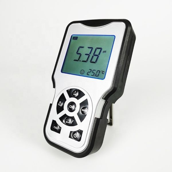 Quality ODM Customized Support Portable Digital pH Meter 0.1/0.01PH Range for Laboratory for sale