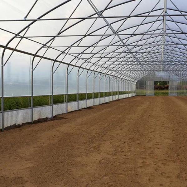 Quality High Hoop Tunnel Polyethylene Film Greenhouse For Agriculture for sale