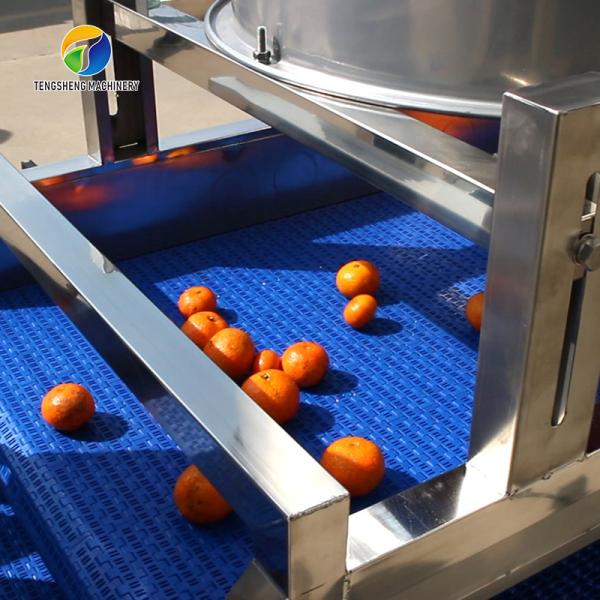 Quality 1500KG/H Fruit And Vegetable Processing Line cleaning Sorting Machine for sale