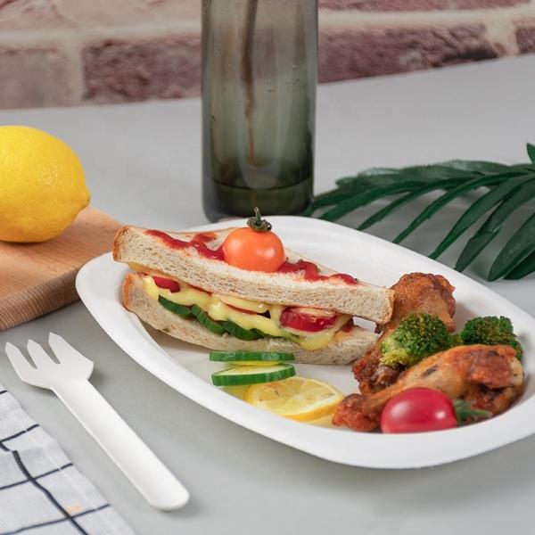 Quality Green 100% Biodegradable Compostable Party Tableware Eco Friendly Disposable for sale
