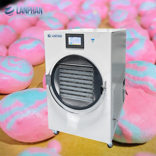 Quality 3M2 Lanphan Candy Cake Freeze Dryer Machine Fruit Vegetable Freeze Drying for sale