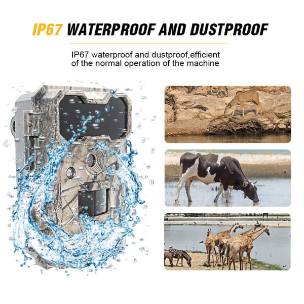 Quality Motion Activated Wildlife Camera for sale