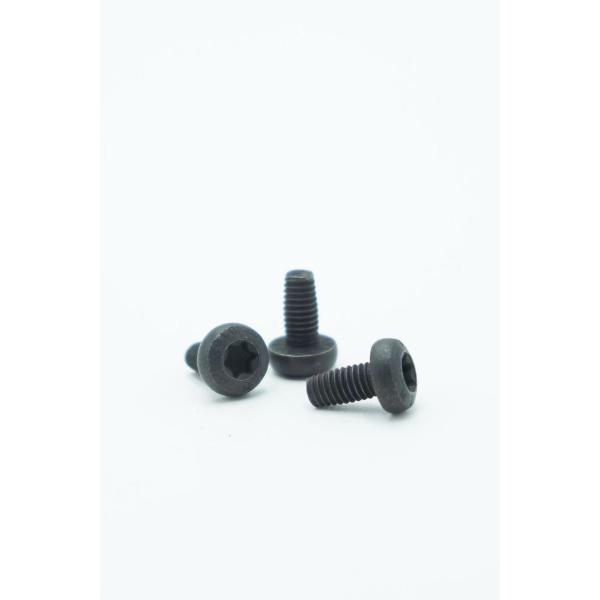 Quality Torx Socket Head Screw Stainless Steel Machine Screws Anti-Theft Screws for sale
