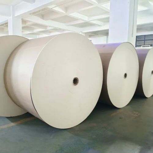 Quality Moisture resistant Eco-friendly Food Grade Single Double PE Coated Paper Rolls for Coffee Tea Cup for sale