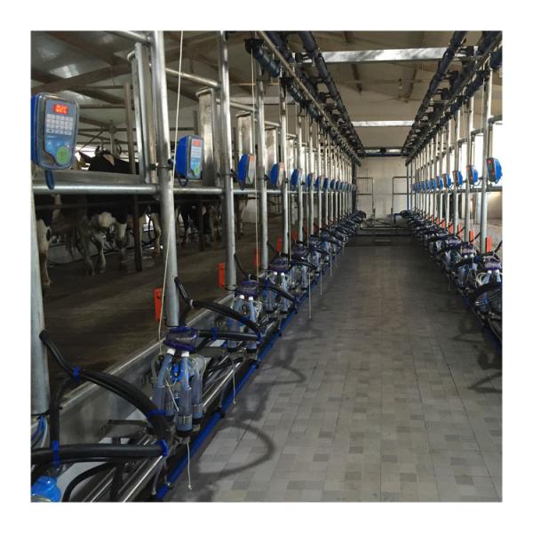 Quality Parallel Quick Release Automatic Cow Milking Parlor Electric Milk Meter for sale