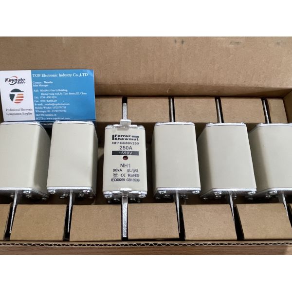 Quality NH1GG69V250P IGBT Module 250A High Current 1200V Voltage Low Vce(sat) High for sale