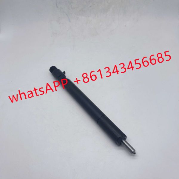 Quality EJBR02901D Delphi Diesel Fuel Injectors for sale