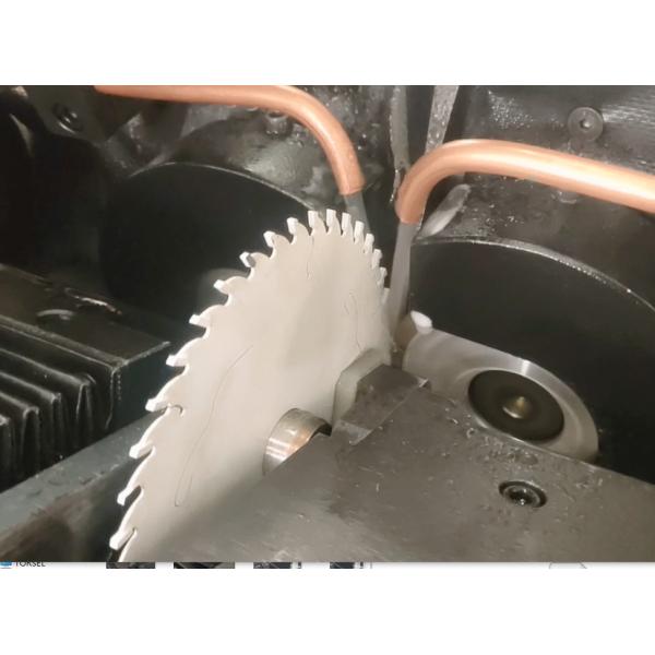 Quality TORSEL Full Automatic Saw Sharpening Equipment Woodworking for sale