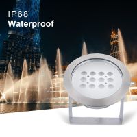 Quality LED Underwater Spot Light Surface Mount IP68 Stainless Steel 24V 12VDC 3000K RGB for sale