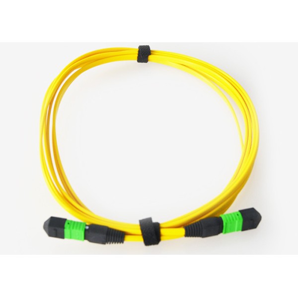 Quality 24 Cores Single Mode Fiber Patch Cord 55dB Return Loss Customized Length for sale