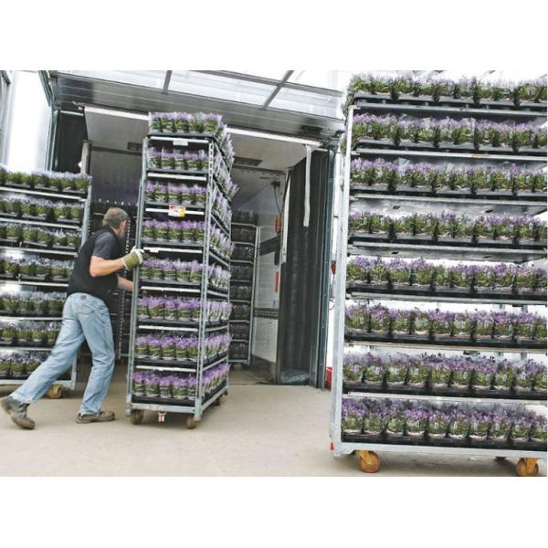 Quality Heavy Duty Dutch Trolley Shelves for sale