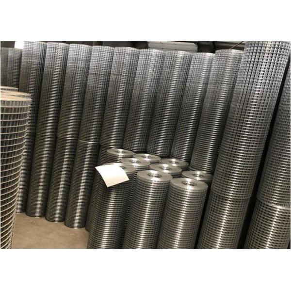 Quality 1/4 Inch PVC Coated Welded Wire Mesh Rolls , Architectural Wire Mesh For Green for sale