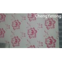 PET Film Laminated Color Coated Steel Coil , Household Appliance Cold Rolled Steel Coil