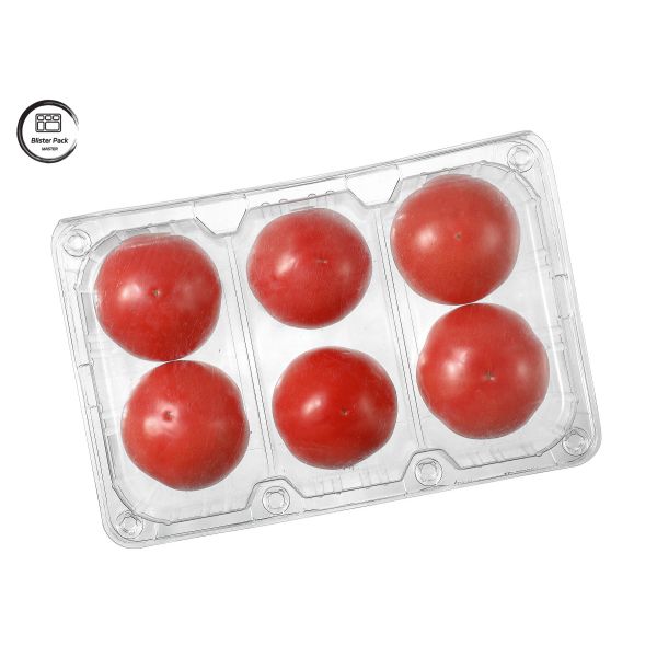 Quality Disposable Blister Tomato Disposable Fruit Container 6 Piece Rectangular Plastic For Packaging for sale