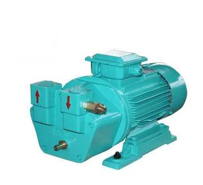 Quality 3 Phase 380V Sk 2sk 2be Liquid Ring Vacuum Pump for sale