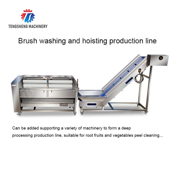 Quality Brush washing and hoisting production line Ginger Potato Carrot Taro Sweet for sale
