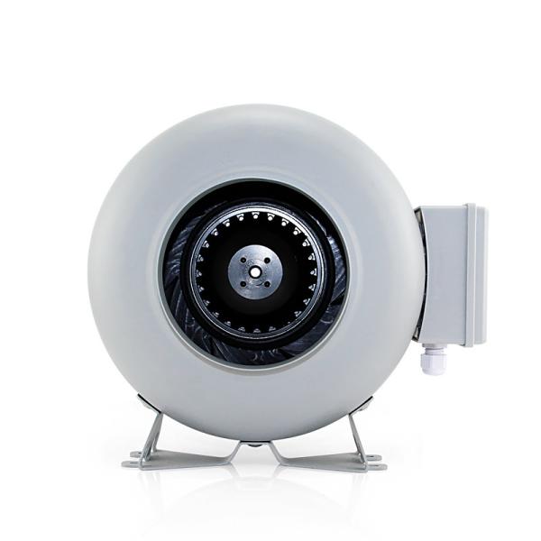 Quality White 6 Inch High Pressure Inline Green House Industrial Exhaust Grow Hydroponic Fan for sale