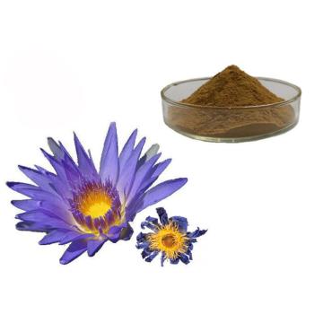 Quality Nymphaea Caerulea Flower Powder Blue Lotus Organic Herbal Extracts for sale
