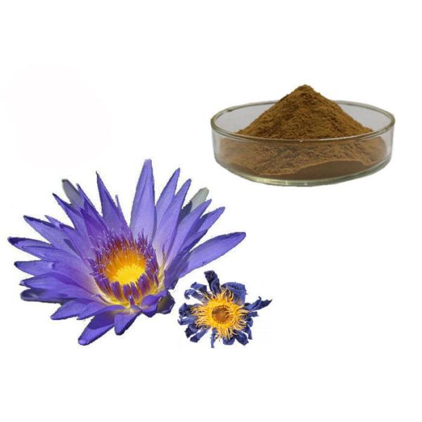 Quality Nymphaea Caerulea Flower Powder Blue Lotus Organic Herbal Extracts for sale